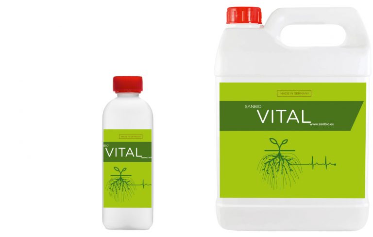 Vital – improving productivity of crops » SANBIO